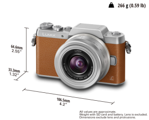 Panasonic LUMIX GF7 – For The Selfie Lover With A Serious Side ...